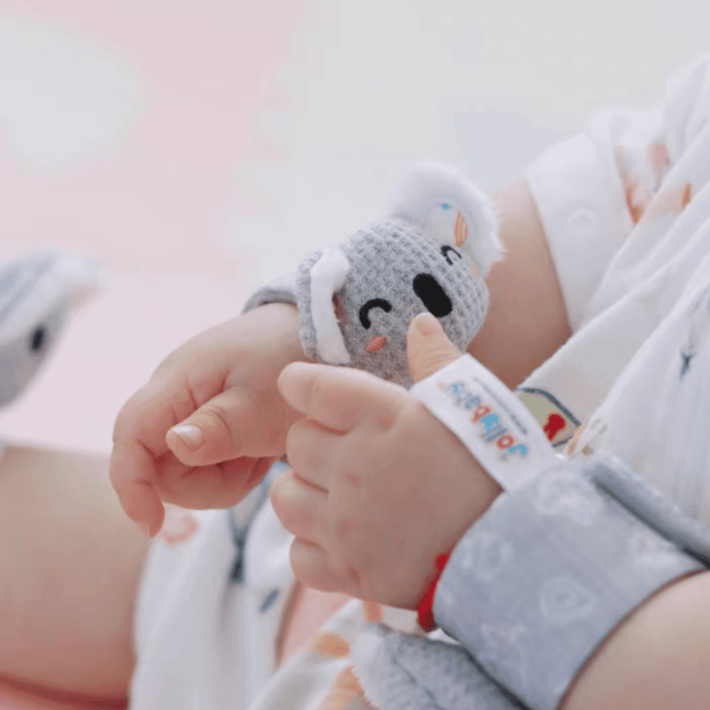 Wrist Rattle & Foot Finder – BabyCoo Aus